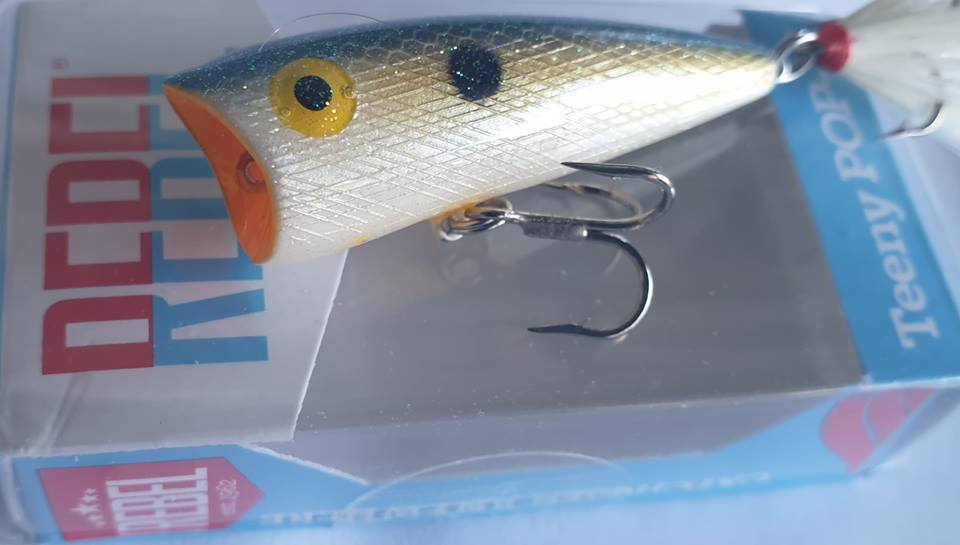 Foxy Lady – Gold Coast & Redcliffe Lure Fishing Charters & Tuition