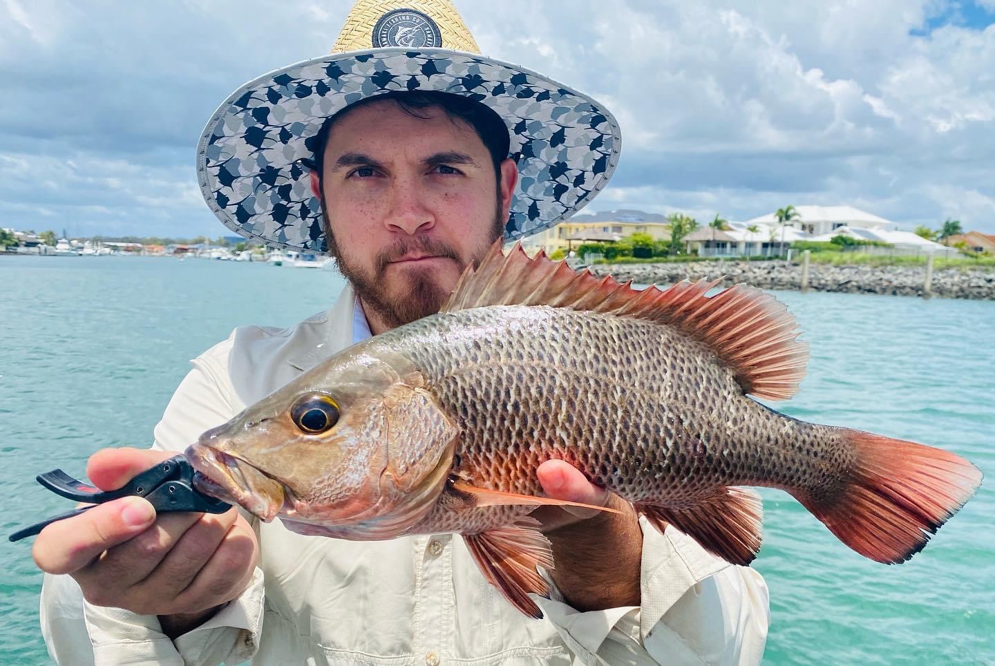 img_1073 – Gold Coast & Redcliffe Lure Fishing Charters & Tuition