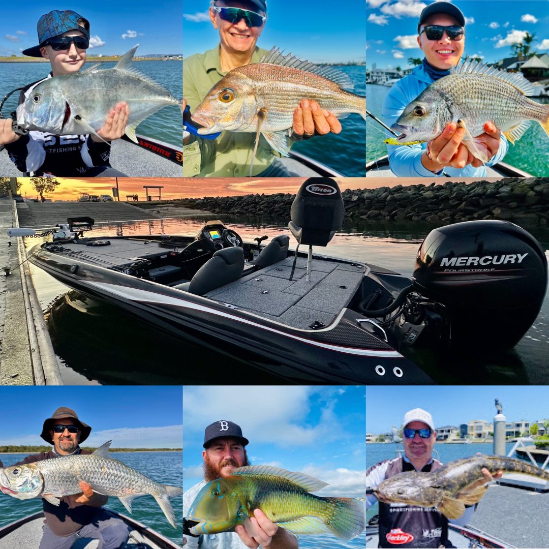 Gold Coast & Redcliffe Lure Fishing Charters & Tuition